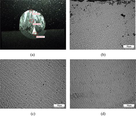 Microstructure Of Single Pass Cladding Layer On Observation Surface 1 Download Scientific