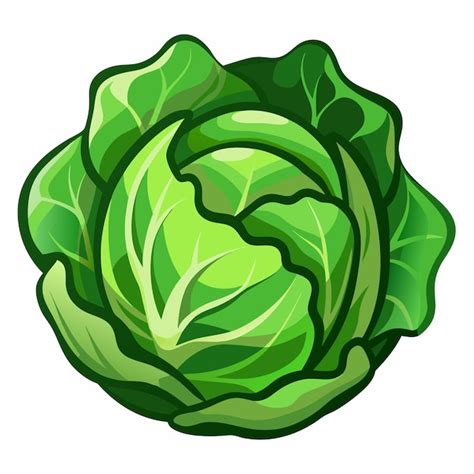카버 클리파트 Cabbage Clipart 만화 스타일의 터 일러스트레이션 프리미엄 벡터