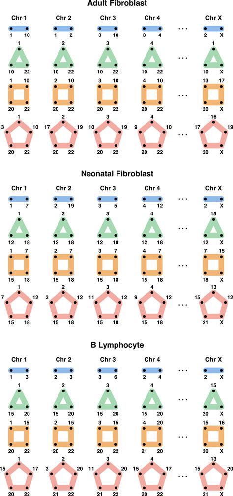 Inter Chromosomal Interactions The Most Common 2 Way 3 Way 4 Way And