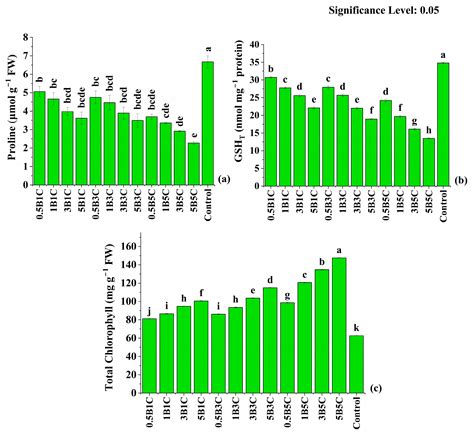 Elucidating The Potential Of Biochar Bentonite Composite And Kaolinite Based Seed Balls For The
