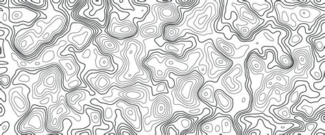 Abstract Blank Detailed Topographic Contour Map Subtle White Vector