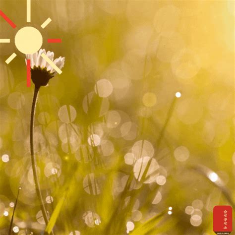 카톡 아침 인사 이미지 움직이는 글귀 모음