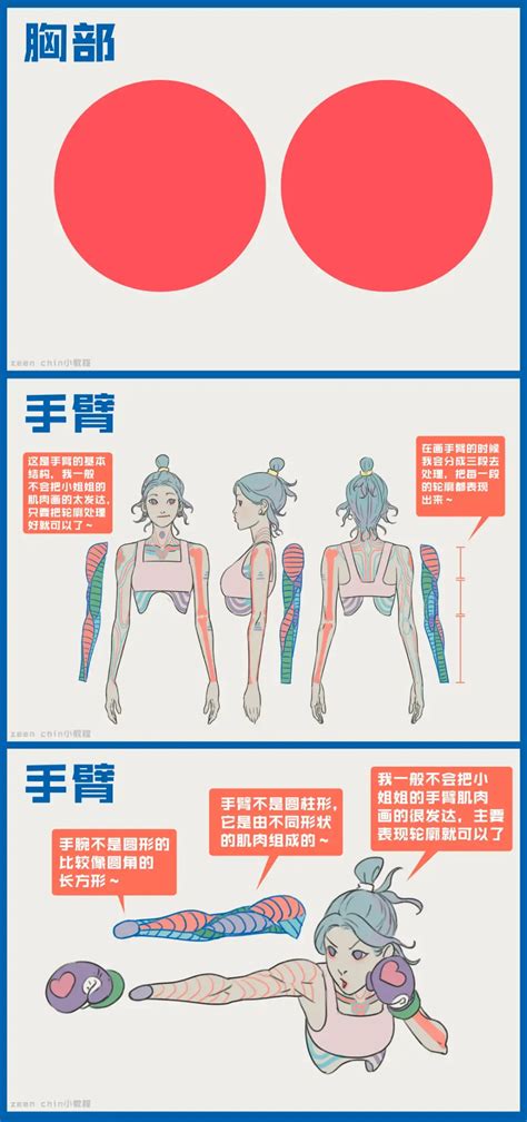听说你不会画小姐姐身体结构 哔哩哔哩 Tutorial de anatomía Arte de anatomía Arte de
