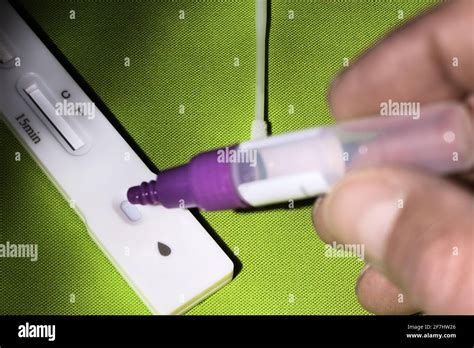 Person Making Checking Testing A Corona Covid 19 Coronavirus Selftest