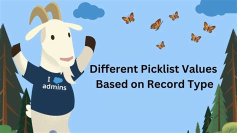 How To Show Different Picklist Values Based On Record Type Salesforce Admin Tutorial Youtube