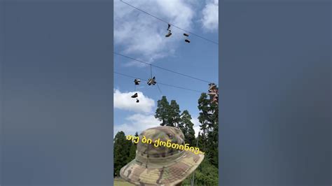 ცეცხლთან კი არა დენთან თამაში არ შეიძლება Gorilla Vlog ბუნება Travel ლაშქრობა Foryou