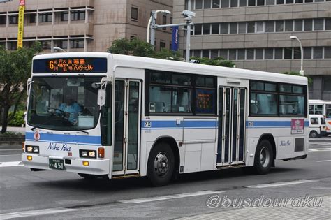 那覇バス 沖縄200か 451 バス道楽