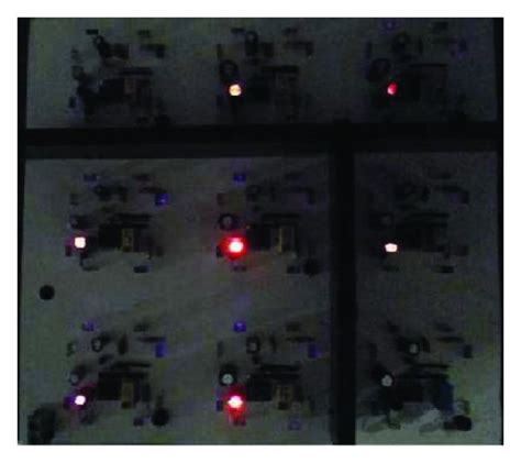 Experimental Fireflies Synchronization A Isolated Nodes B Line