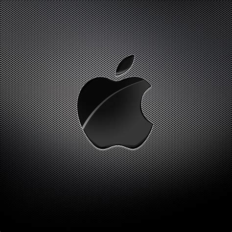 🔥 250 Iphone Black Wallpapers Hd Wallpapersafari