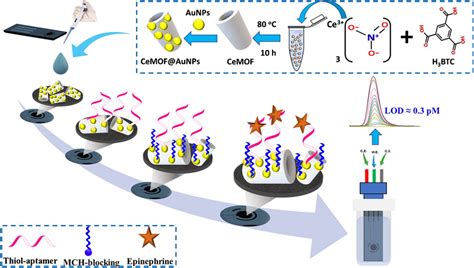 Schematic Illustration Of The Electrochemical Biosensor Assembly Download Scientific Diagram