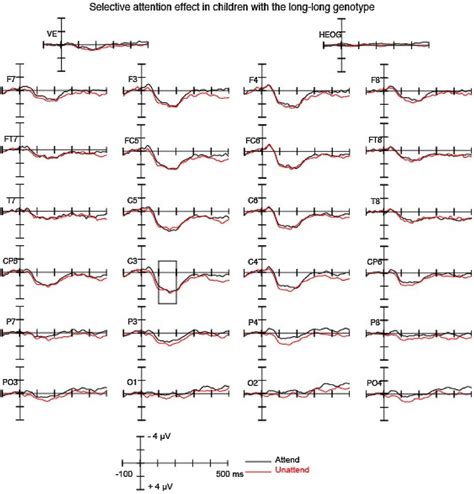 Grand Average ERP Waveforms Showing ERPs Elicited By The Attend And Download Scientific Diagram