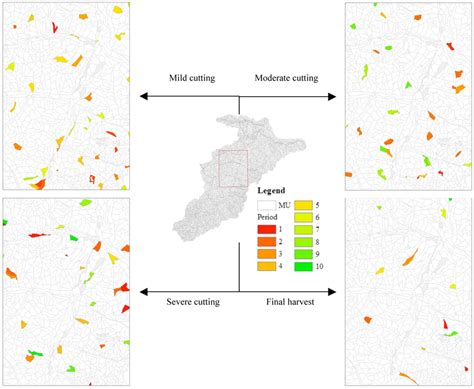 The Spatial And Temporal Assignment Of Management Prescriptions Of A