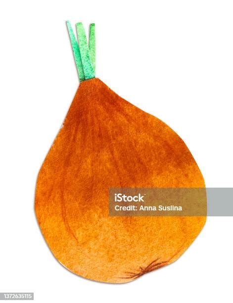 손으로 그린 수채화 오렌지 양파 전구 밝은 귀여운 가와이 키드 코어 스타일 일러스트 농산물 시장 슈퍼마켓 제품 디자인 스티커 또는 엽서에 적합합니다 건강한 식생활에 대한