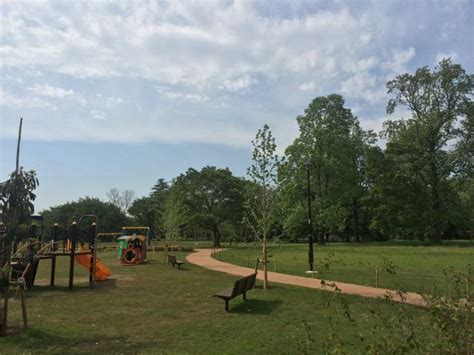 小金井公園東京で散歩やウォーキングができる公園