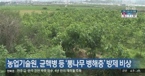 농업기술원 균핵병 등 뽕나무 병해충 방제 비상