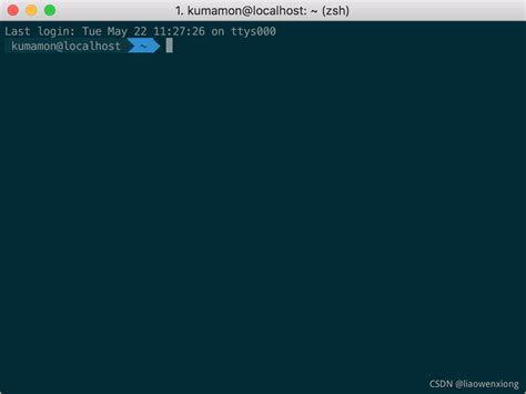 Zsh 主题的下载和安装zsh下载 Csdn博客