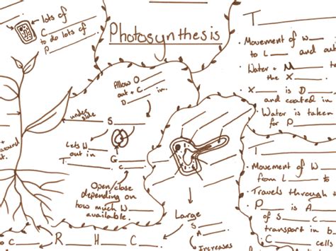 Cb6 Revision Poster Teaching Resources