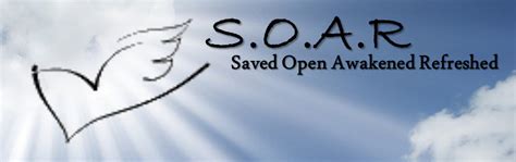 Soar Meaning