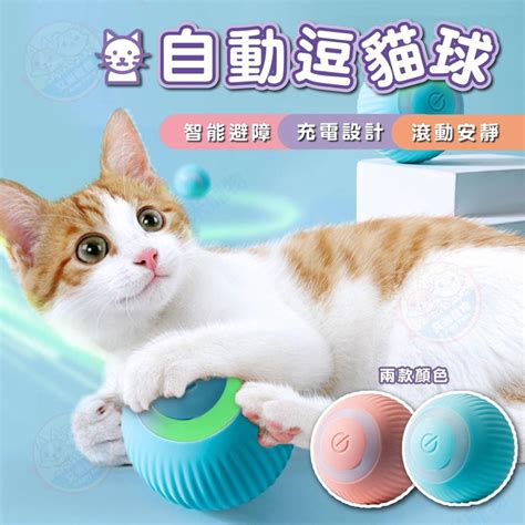 【艾米】自動逗貓球 逗貓球 智能逗貓球 貓玩具 貓咪玩具 寵物玩具 貓咪用品 逗貓玩具 艾米寵物 Iopen Mall
