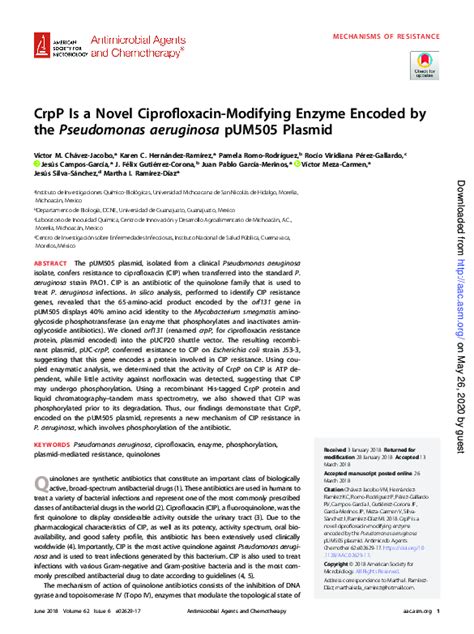 Pdf Crpp Is A Novel Ciprofloxacin Modifying Enzyme Encoded By The Pseudomonas Aeruginosa