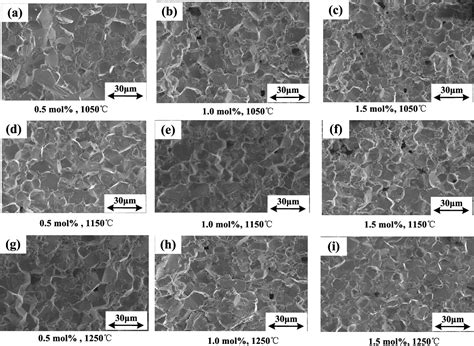 Figure 1 From Influence Of Sintering Temperature And Zro2 Dopants On