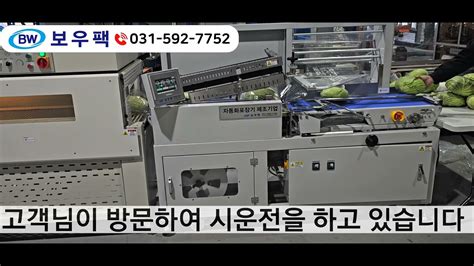 양배추 포장 식품포장국산수축포장기자동 수축포장기신선포장야채포장농산물포장수축터널대류식터널직화식터널열수축포장기