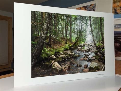 Mounting Photos On Gatorboard At Ethel Laskey Blog