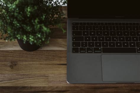 Pythonのhasattr 関数の全引数戻り値使用例を解説 ゴマフリーダムのPython教室