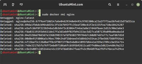 How To Install And Use Docker In Ubuntu 2204