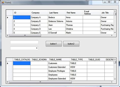 A Populated Datagrid