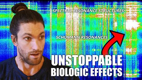 Spectral Resonance Structures Reappear And The Biology Of Schumann