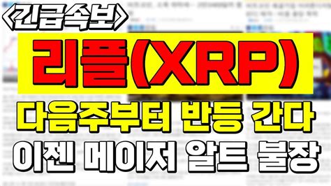 리플이 주춤하지만 다음주 급등 가능합니다 이번 주말 움직임이 굉장히 중요합니다 리플 리플전망 리플코인 리플코인전망 Youtube