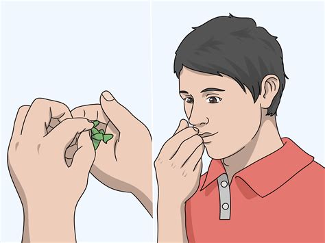 How To Identify Walnut Trees 11 Easy Ways With Pictures