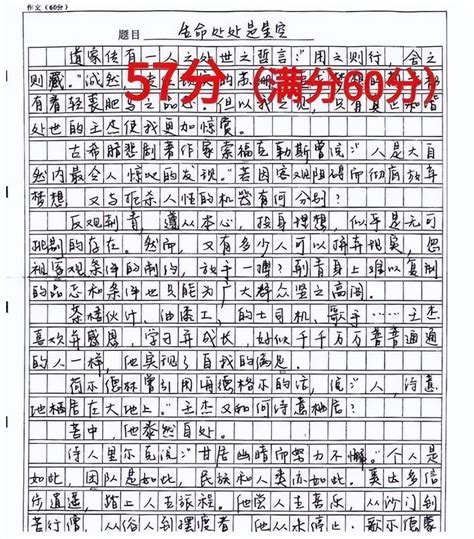 高考满分作文酒整篇不见一个酒字却让人沉醉其中 语文 高分 卷面