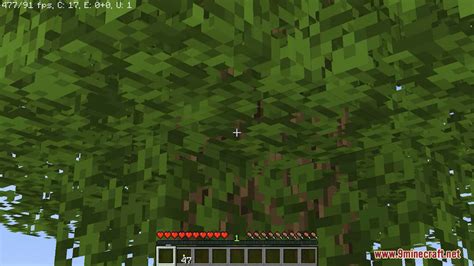 Delight Shaders 1minecraft