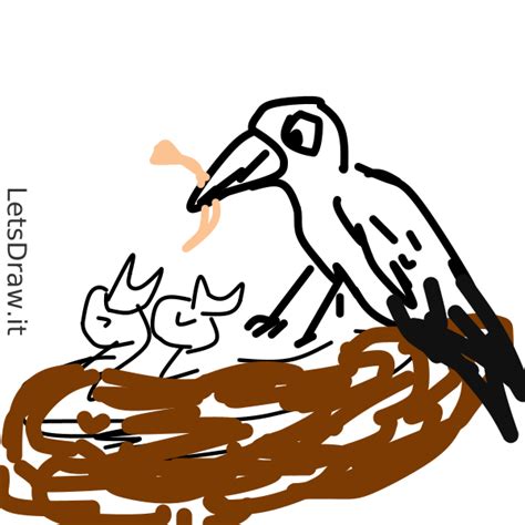 How To Draw Nest 1554kk49n Png LetsDrawIt