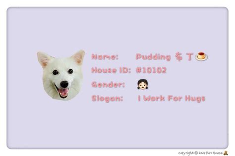 Add Pets Page Issue 455 Ritterim Rimdev Blog GitHub