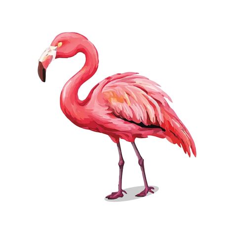 Premium Vector A Drawing Of A Pink Flamingo With A Pink Beak