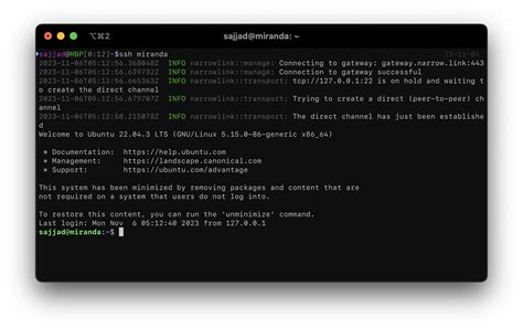 Narrowlink 020 Peer To Peer Connectivity And Tun Interface Narrowlink