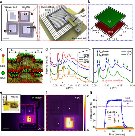 Layouts And Characteristics Of Bioresorbable Wirelessly Programmable