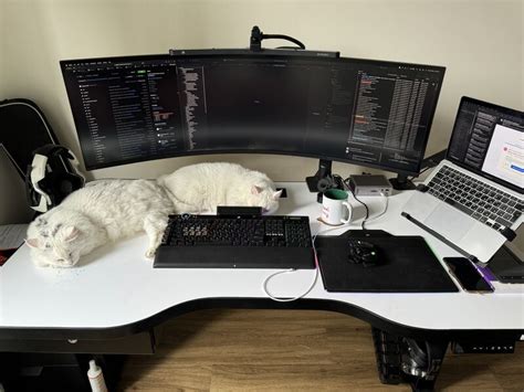 Sergey Pekar On Linkedin Cats Programming Fun