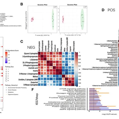 Combined Transcriptomic And Metabolomic Analysis Shows That Baiba