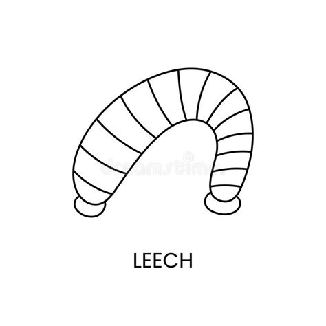 Leech Icon Stock Illustrations 264 Leech Icon Stock Illustrations Vectors And Clipart Dreamstime