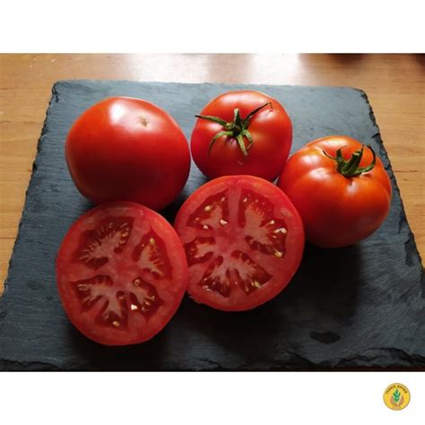 Домати Приста F1 Prista F1