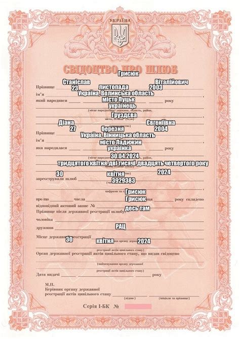 Создать комикс мем свидетельство о браке бланк пустой свідоцтво про шлюб пустое свидетельство