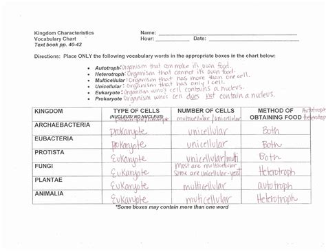 50 Mutations Worksheet Answer Key