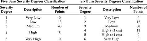 Burn Severity Measured In Situ Classifications Download Scientific Diagram
