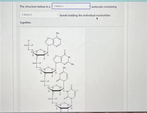 Solved The Structure Below Is A Nucleoside Nucleotide