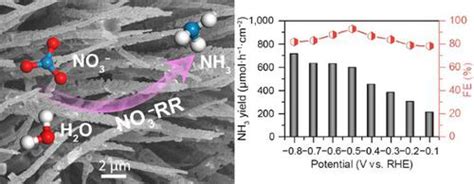 具有氧空位的 Ceo2 纳米粒子修饰的 N 掺杂碳纳米棒：硝酸盐电还原成氨的高效催化剂 Nano Research X Mol