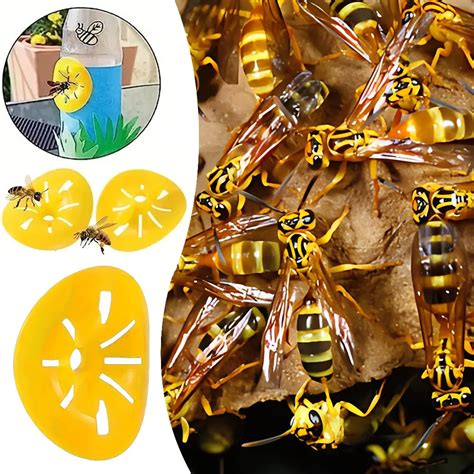 outdoor hanging wasp trap fly catcher commercial flies wasp trap insect